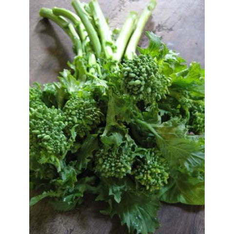 Broccoli Rabe- 2 Bunches – 495 EXPRESS FOODS