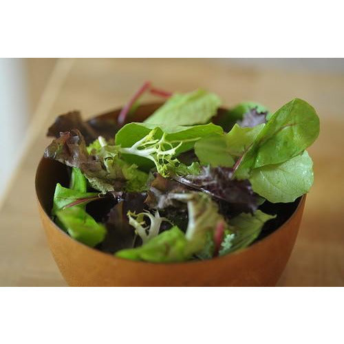 Mesclun Spring Mix Baby Greens -3lbs CASE – 495 EXPRESS FOODS
