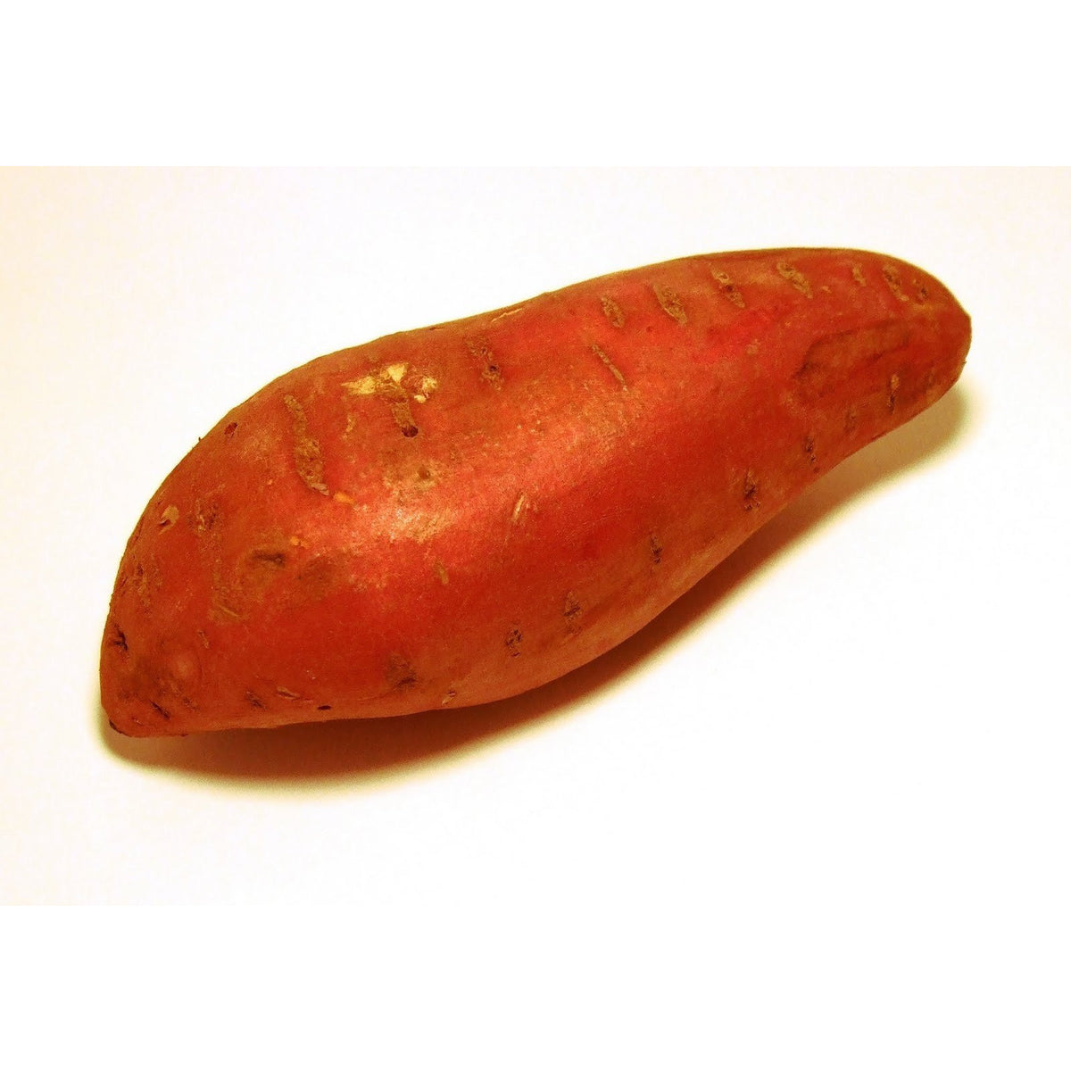 Potato Sweet Yam-Medium Sized-3lbs – 495 EXPRESS FOODS