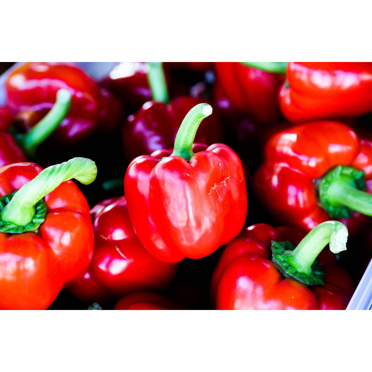 Peppers Red- 2lbs – 495 EXPRESS FOODS